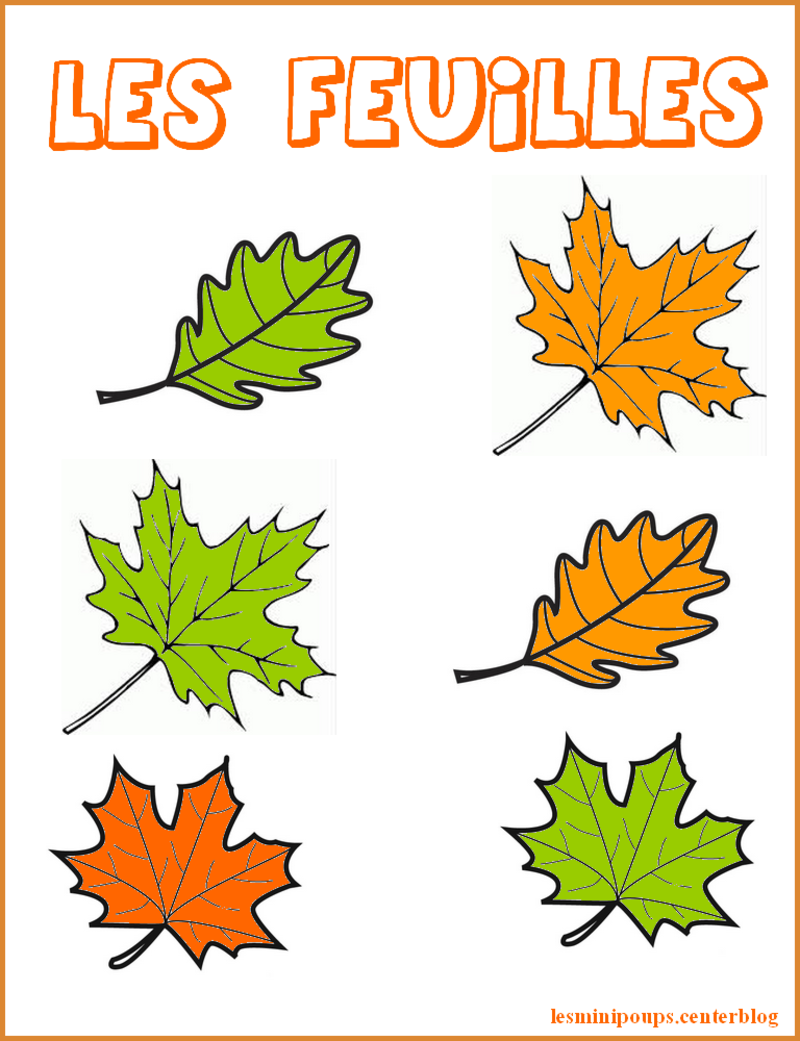 image automne a imprimer